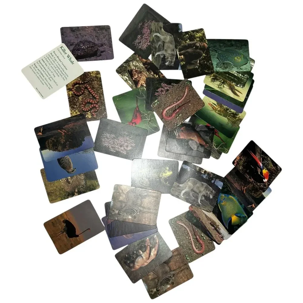 Living Kingdom | Toys | 994 Living Kingdom Trading Cards Vintage ...